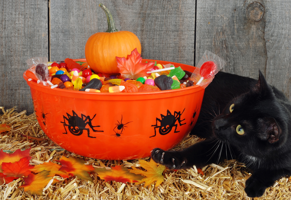 Save Big On These October Software Treats save-big-on-these-october-software-treats