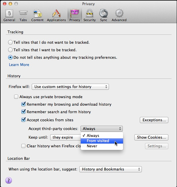 Firefox 22 Beta improves display scaling in Windows, strengthens privacy