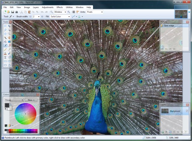 Paint.NET prepares the ground for the next major revision - BetaNews