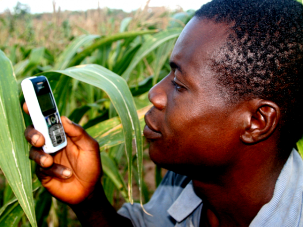 Internet.org brings free online access to Africa - BetaNews