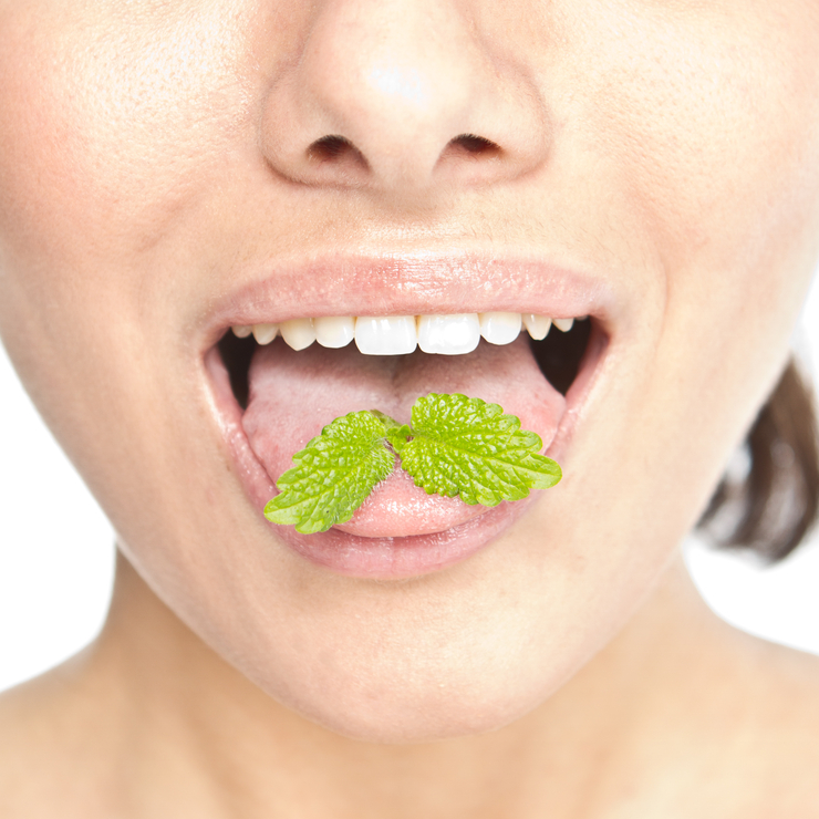 Linux Mint 17.1 'Rebecca' RC now available with either Cinnamon or Mate ...