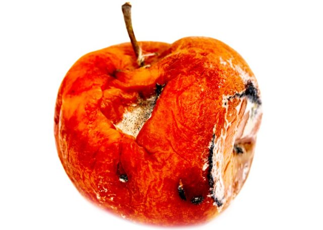 Sorry Apple, Dell's laptop is better - Precision M3800 destroys MacBook ...