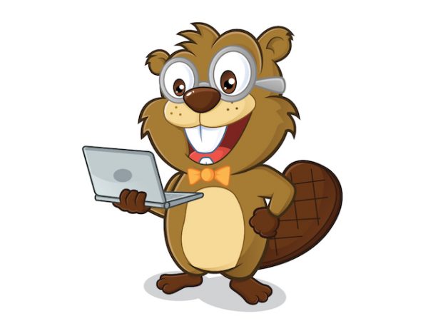 Ubuntu Linux 18.04 LTS 'Bionic Beaver' Beta 2 now available - BetaNews