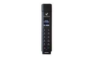 DataLocker Inc Sentry K300 keypad flash drive has an OLED screen and ...