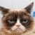 RIP Grumpy Cat: The meme and internet phenomenon is dead - BetaNews