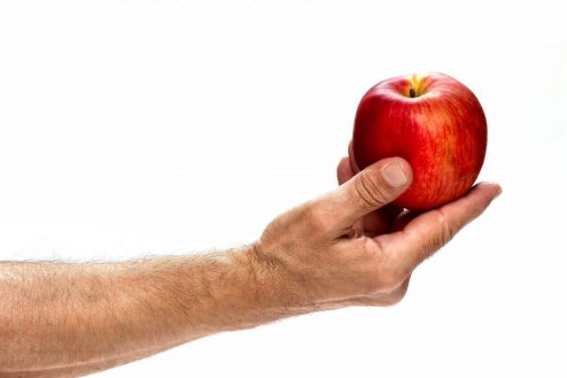 Macs will use ARM-based Apple processors instead of Intel - is ...