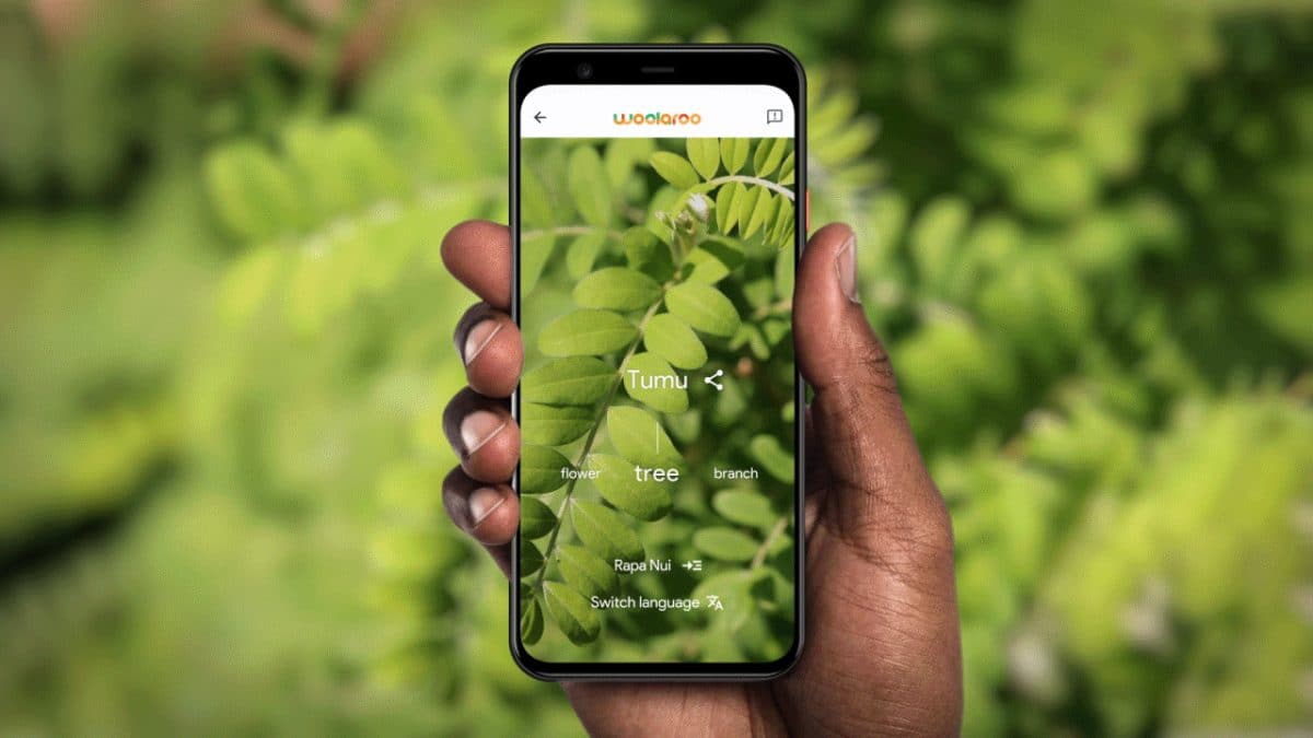 Google Arts & Culture's open source Woolaroo app uses AI to help ...