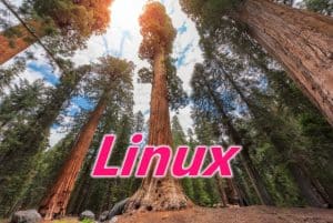 Sequoia: Linux kernel security flaw gives unprivileged users root ...