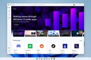 The Windows 11 Microsoft Store opens up to all Win32 apps... oh, and ...