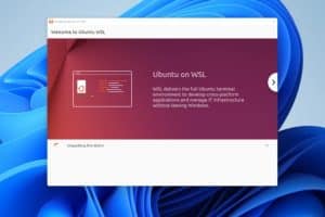 Ubuntu Linux on WSL gets massive upgrade with new tar-based install ...