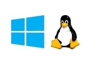 5 best Linux distros to replace Windows 11 and take control of your PC ...