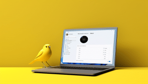 Microsoft releases experimental Windows 11 Build 25330 to the Canary ...