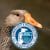 CISA releases open source Untitled Goose Tool to detect malicious ...