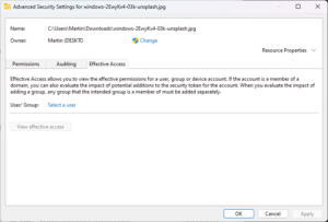Microsoft confirms Windows 11 File Explorer bug that causes high CPU ...