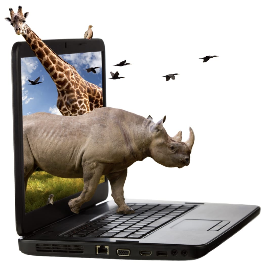Ubuntu-based Rhino Linux 2023.1 now available for download - BetaNews